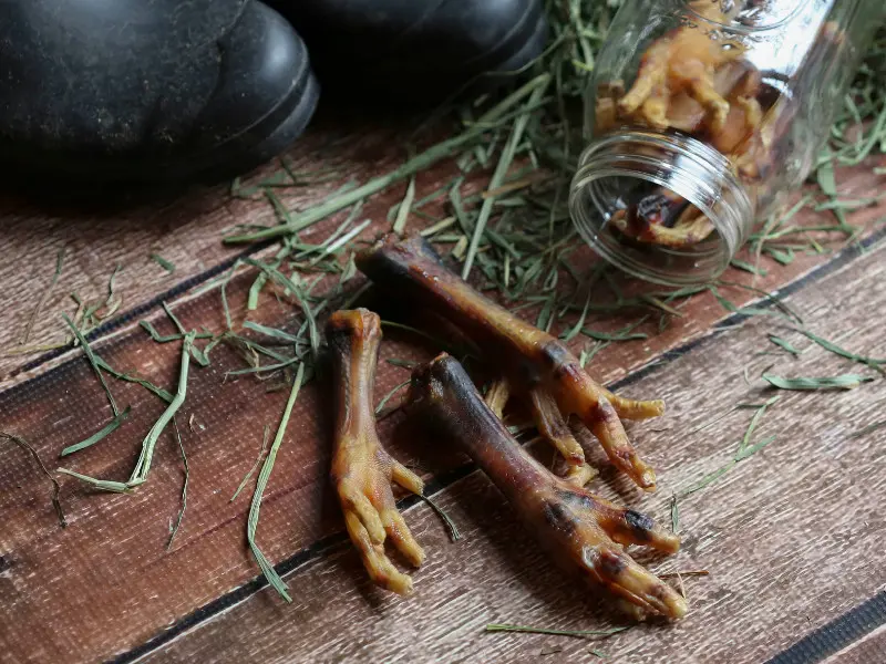Smoked Chicken Feet For Dogs: Wholesome & Healthy Treat | Smokedbyewe